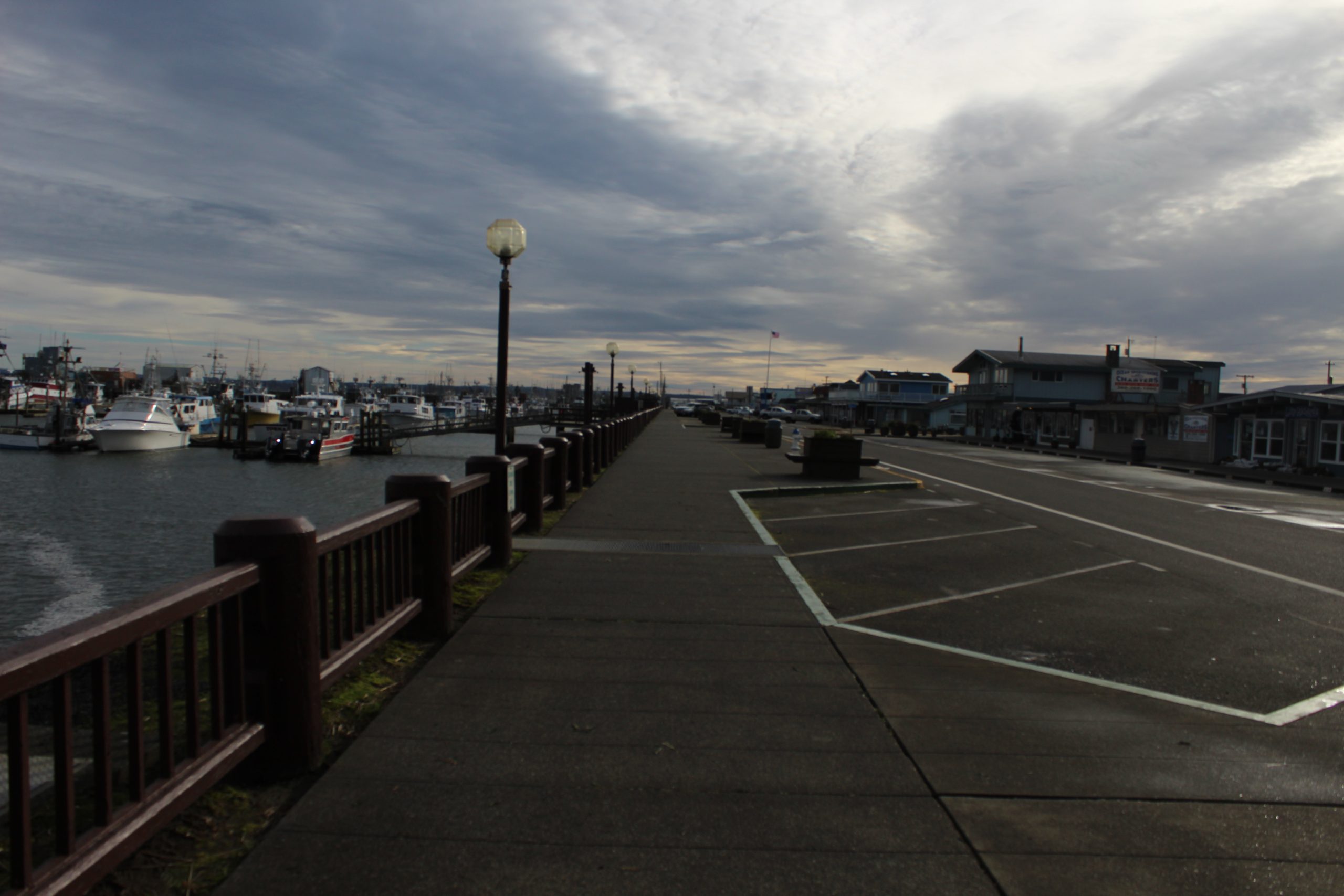 Grayland Beach State Park – Doggiedoos Adventures